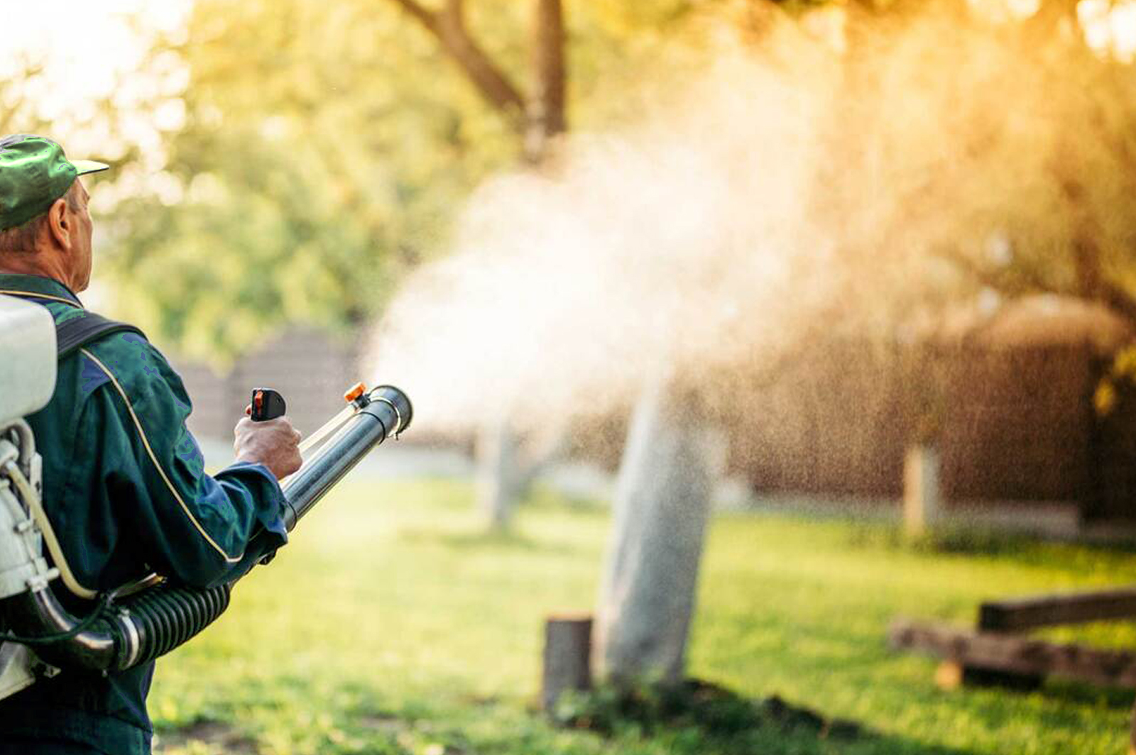 Mosquito Treatment | Limelight Outdoors